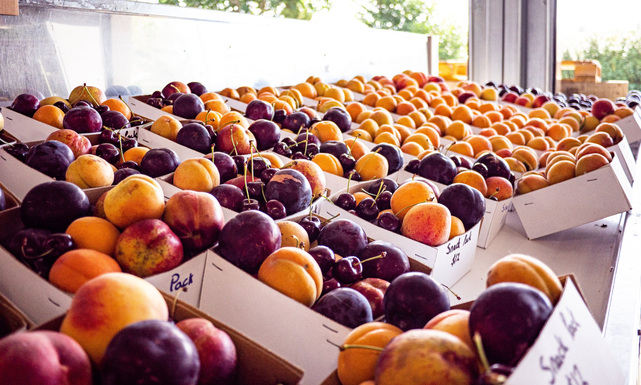 Fairview Orchard Shop